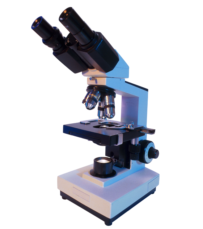 Home - PATH 24 LABORATORIES