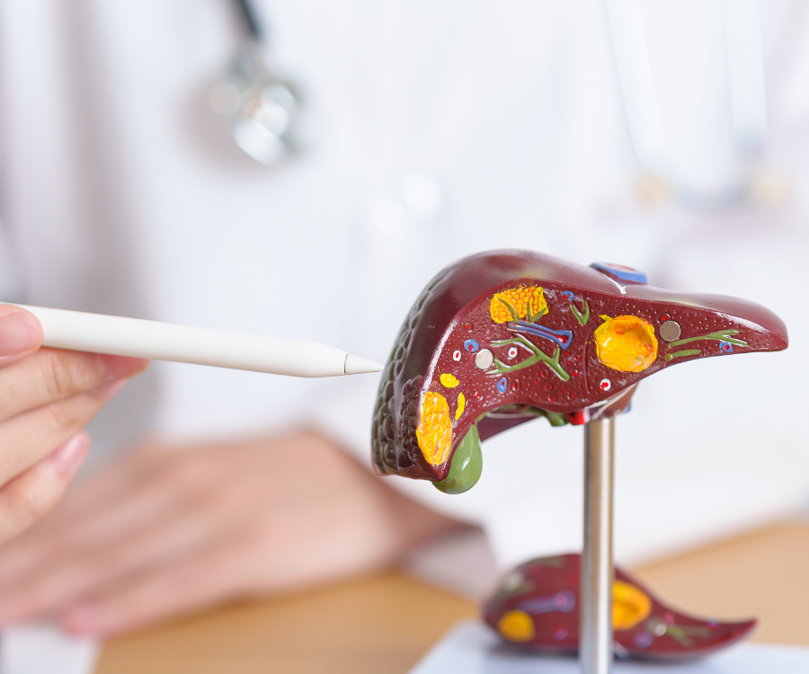 Why Liver Screening Blood Tests are Your Secret Weapon - PATH 24 ...