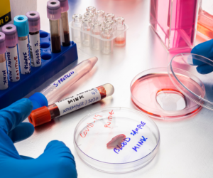 What Exactly Does a Pathologist Do? - PATH 24